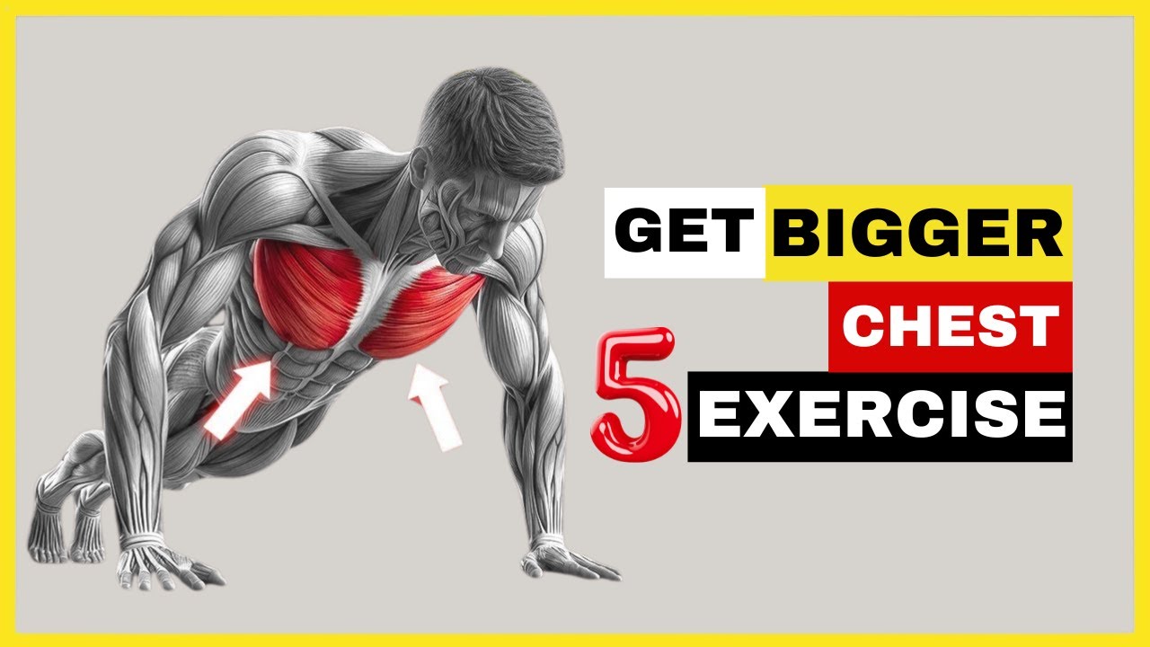 5 CHEST EXERCISES THAT ACTUALLY WORK (Study Proof!) - YouTube