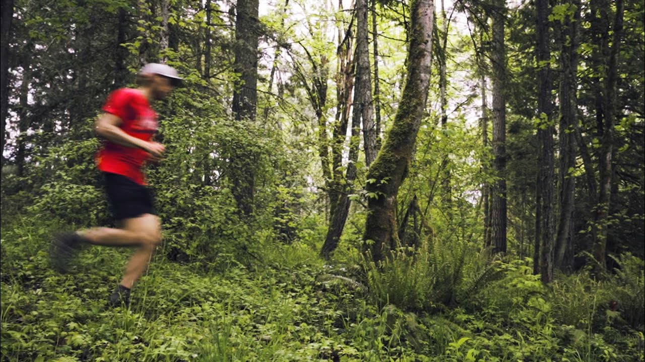 TRAIL RUNNING - I Built A Running Course (In MY BACKYARD)! - YouTube