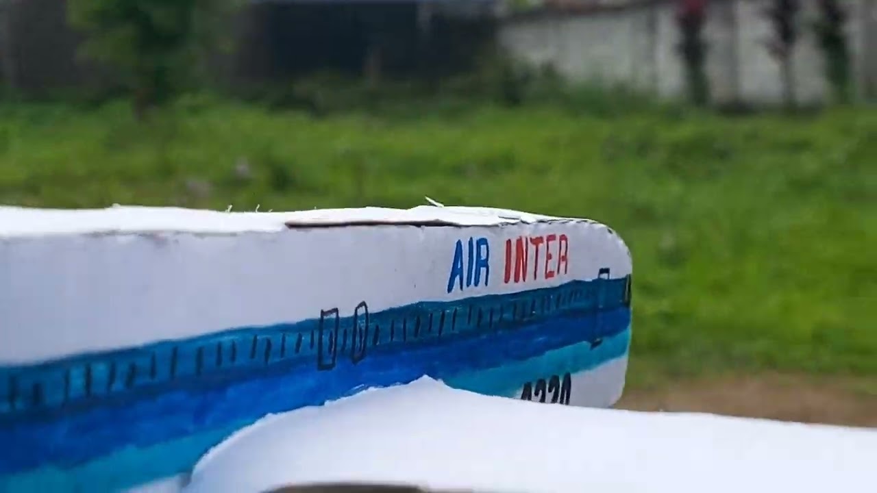 air inter flight 148 crash - YouTube