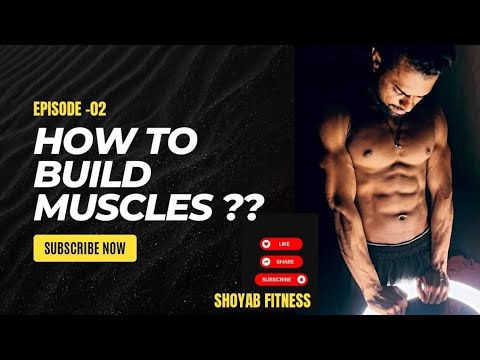 How to build muscles / bodybuilding tips and tricks #bodybuilding - YouTube
