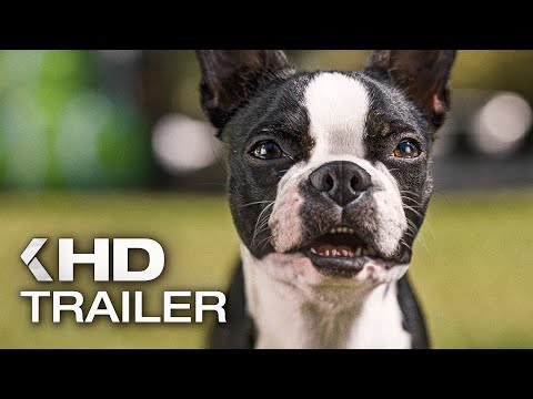 DOGGY STYLE Trailer German Deutsch (2023)