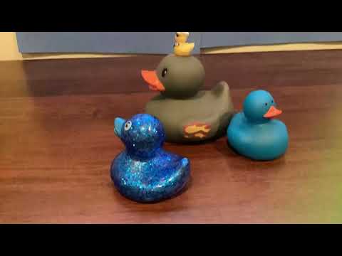 Stop motion rubber ducky’s - YouTube