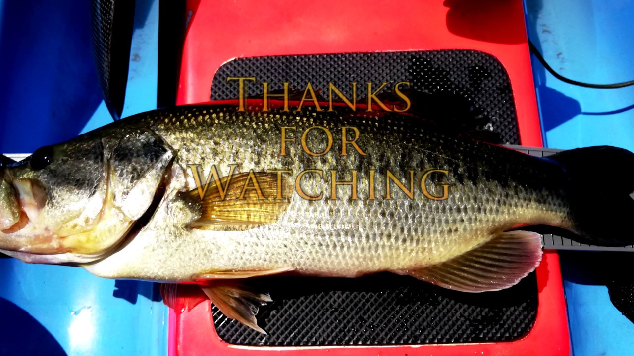 Boskop Dam Kayak Bass Fishing #bassfishing - YouTube