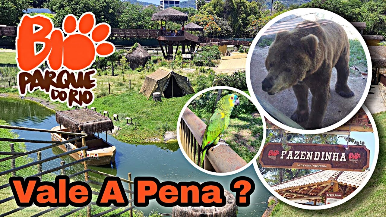 BIOPARQUE DO RIO | NOVO ZOOLÓGICO DO RIO | PREÇOS - YouTube