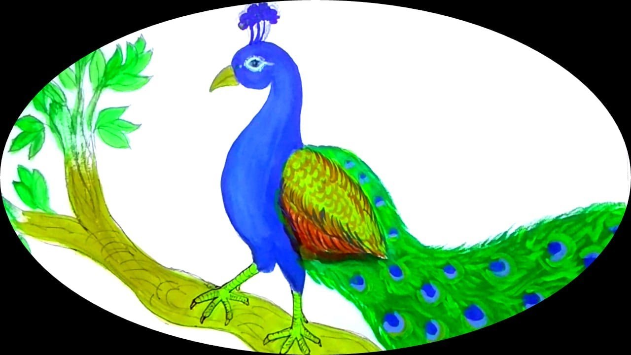 How to draw a peacock|peacock drawing|peacock drawing with colour|easy ...
