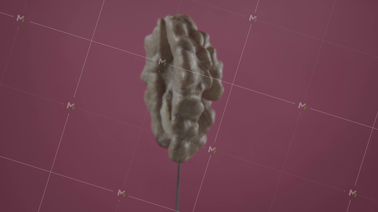 Walnut rotating with loop on fuchsia screen for chroma key - YouTube