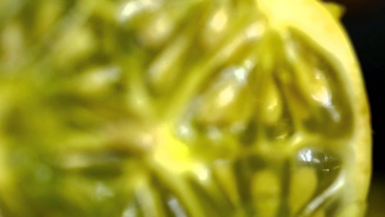 Melissa's Freaky Fruits - YouTube