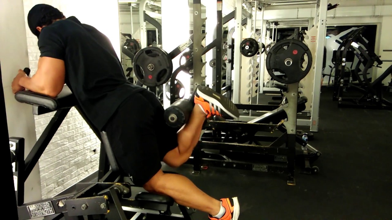 Program Latihan Otot Paha Belakang " Hamstring " Di Gold Gym Jakarta ...