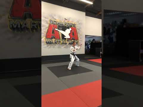Shim Jun - 1st degree Black Belt form FULL Form