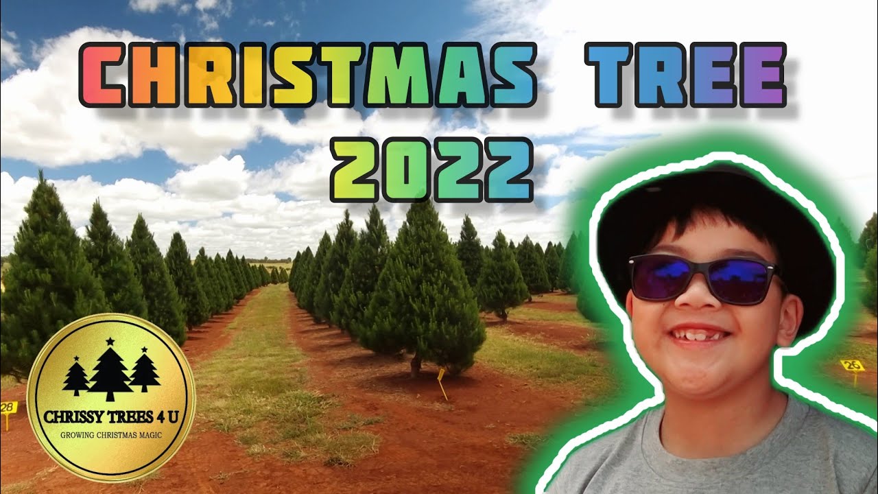 Chrissy Trees 4 U | Christmas 2022 | Amazing Natural Tree - YouTube