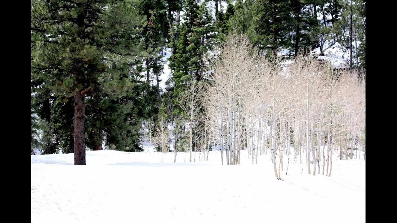 Canon Rebel XS Sample Pictures - YouTube