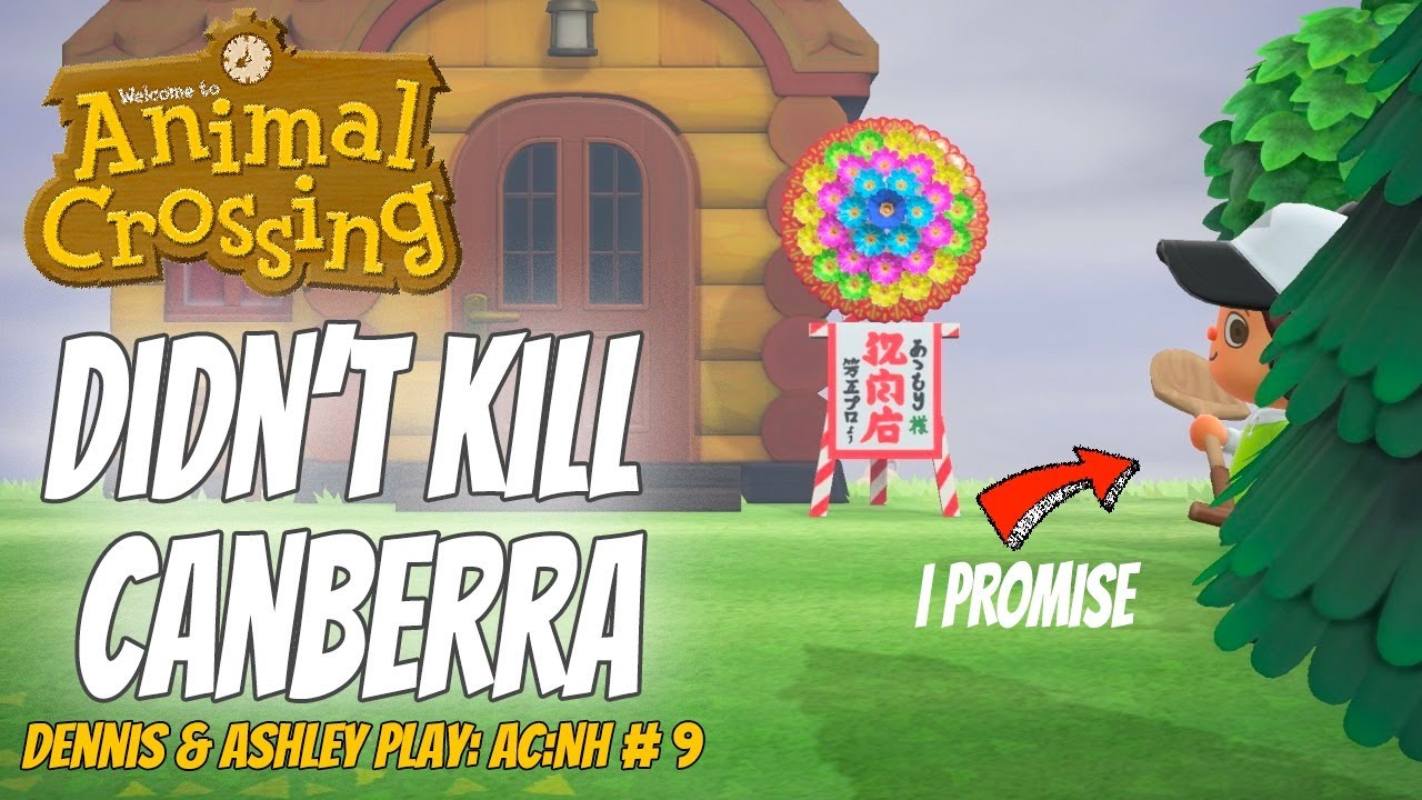 DIDN'T KILL CANBERRA, I PROMISE... | Animal Crossing Playthrough # 10 ...