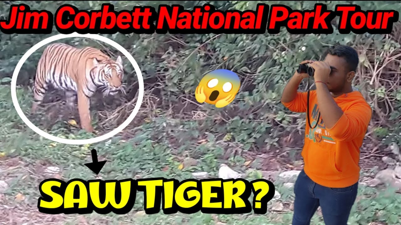 Jim Corbett National Park Tour | Saw Tiger ? 🐯 | School Trip ...