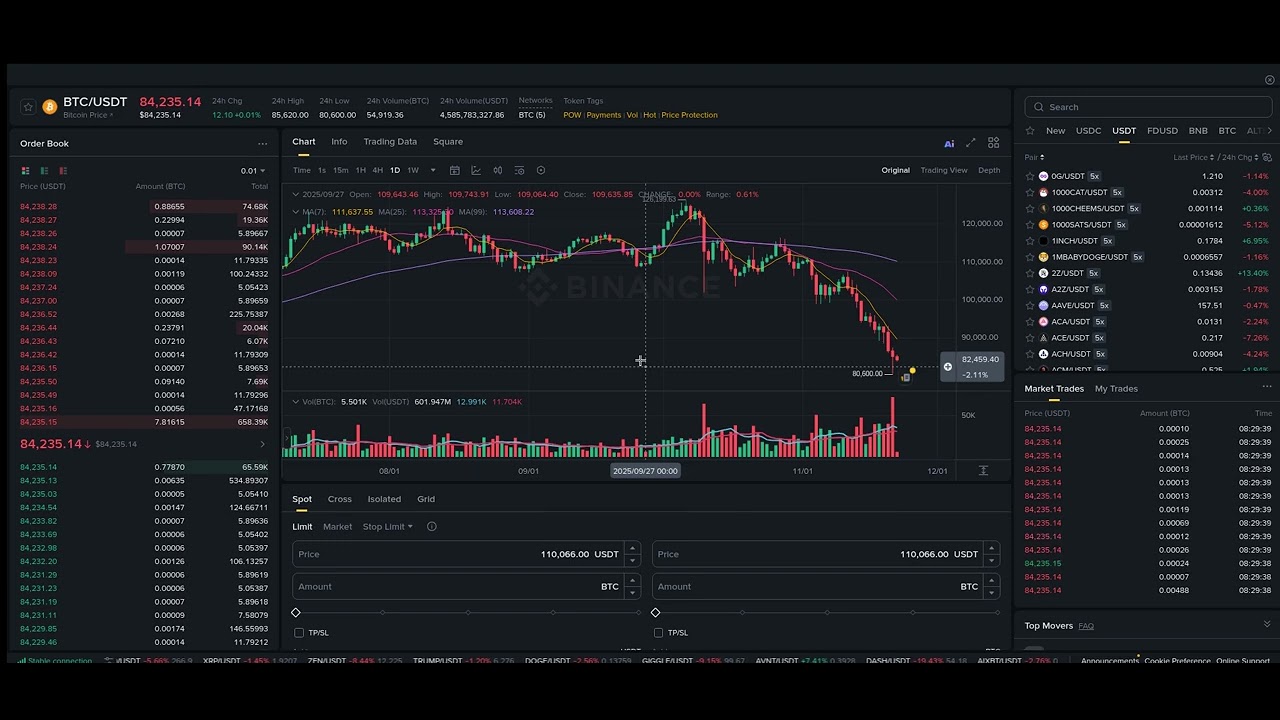 LIVE BTC/USDT CHART: Real-Time Bitcoin Price Tracker (Current Market ...