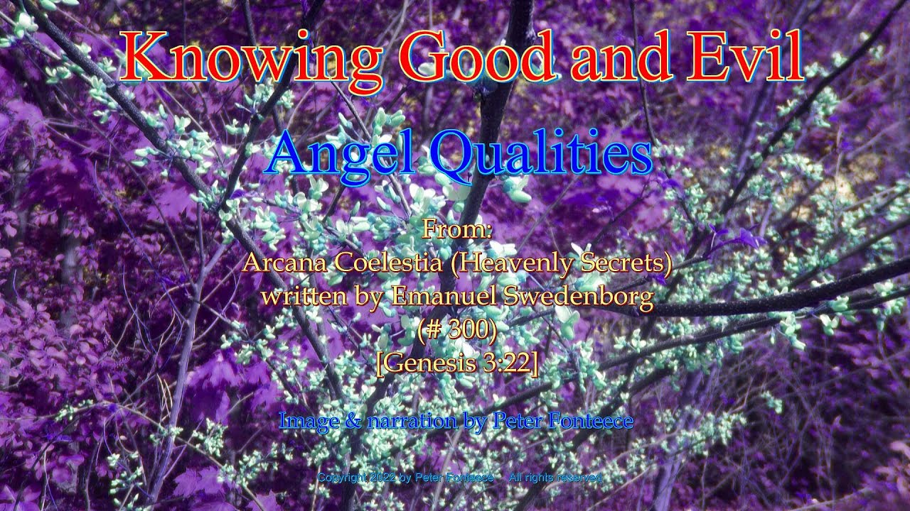 Knowing Good and Evil – Angel Qualities - YouTube
