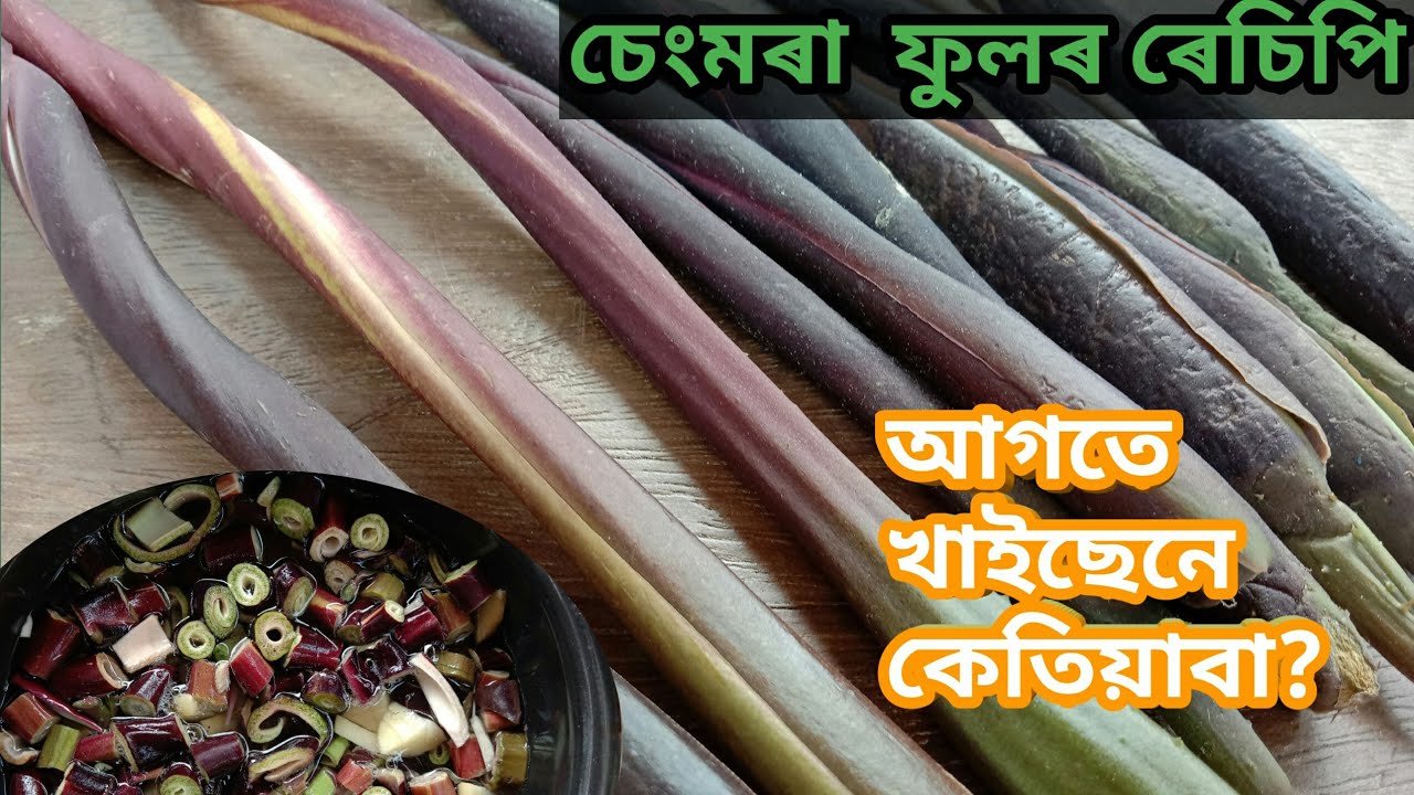 চেংমৰা ফুলৰ ৰেচিপি||Sengmora Recipe।কেতিয়াবা খাইছেনে চেংমৰা ফুল ...