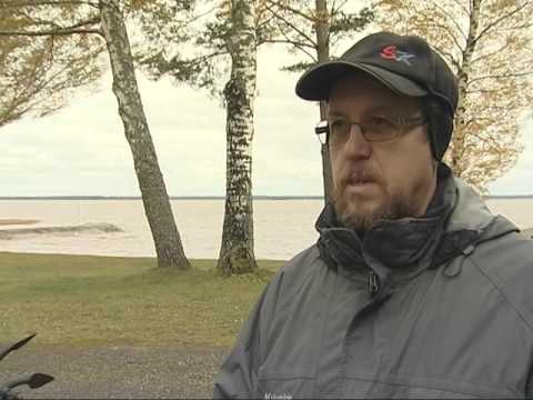 Pille-Riini klass alates 2018: mai 2020