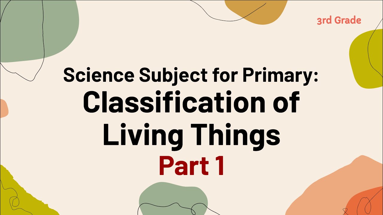 Classification of Living things Part 1: Plants & Animals - YouTube