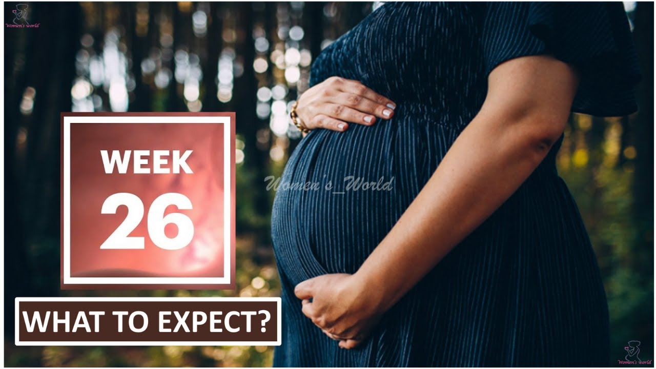 26 Weeks Pregnant - What to Expect ? #pregnancy #pregnant # ...