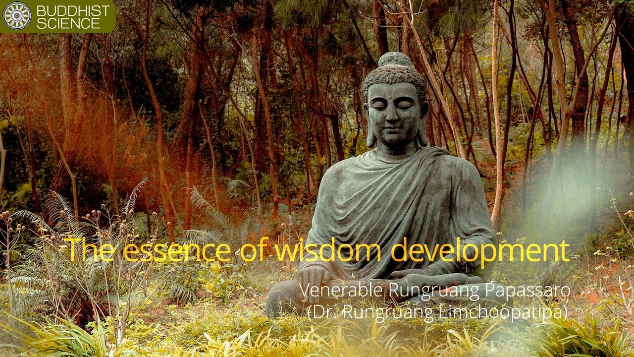 The essence of wisdom development. - YouTube
