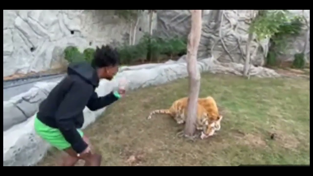 ishowspeed twerk in front of a TIGER 😂 - YouTube