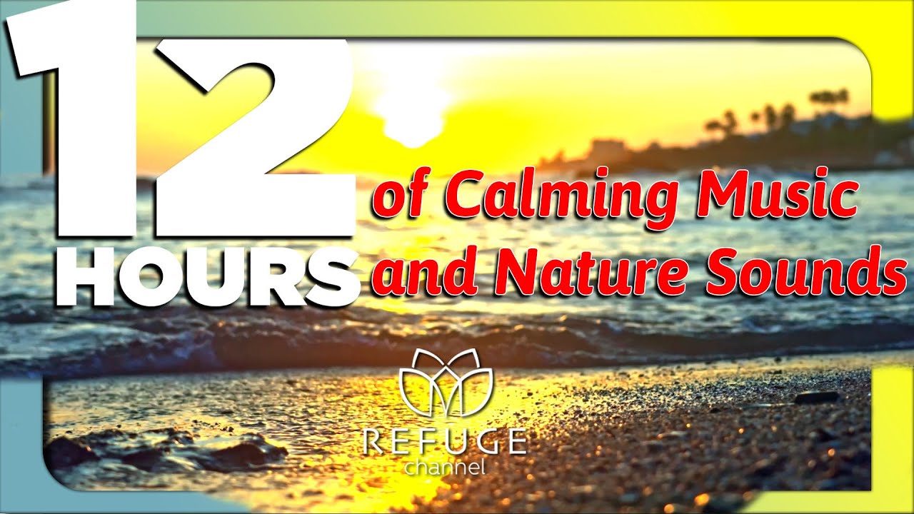 Relax and Sleep with 12 Hours of Calming Music and Nature Sounds 🌊🎵 ...