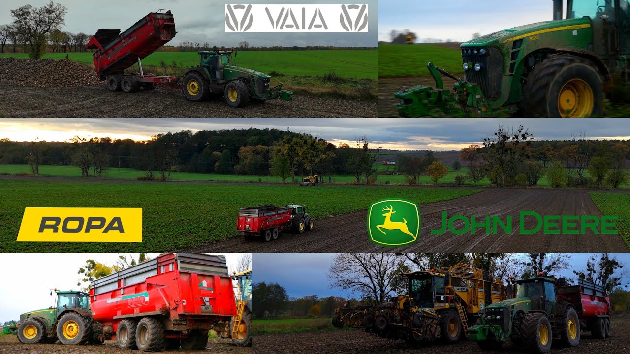 John Deere 8530 | ROPA Tiger 6 | Wykopki 2025 - YouTube