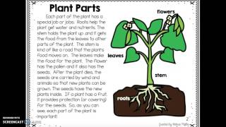 Plant Research Article