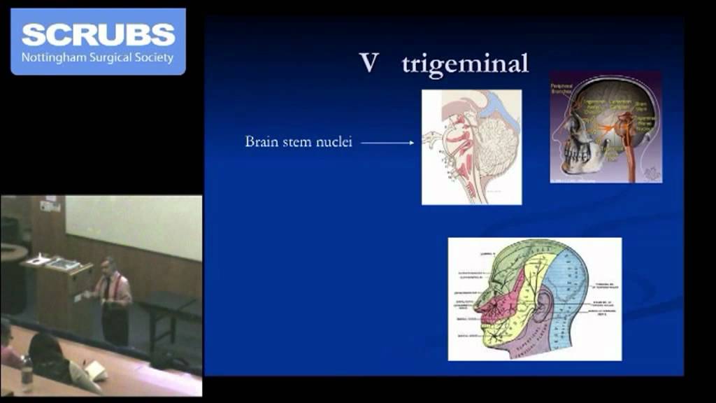 SCRUBS: Brain Stem and Cranial Nerves (Part 4/6) - Prof. T. Hope - YouTube