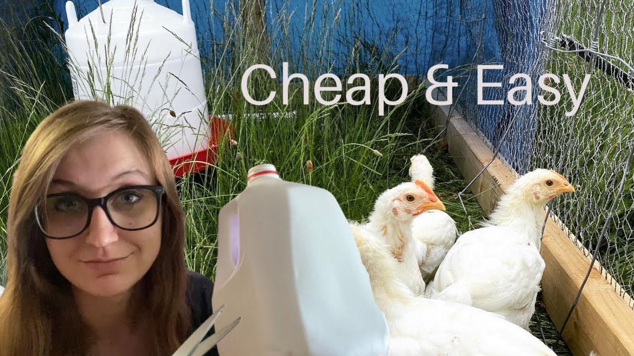 How To Make a KILL CONE with a MILK JUG | Cheap Easy Homestead DIY ...