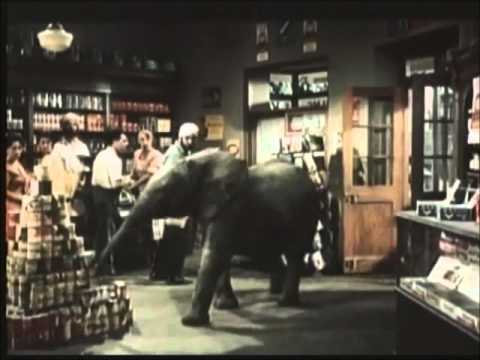 Henry Mancini 映画 「ハタリ」 子象の行進 Baby Elephant Walk ～ HATARI - YouTube