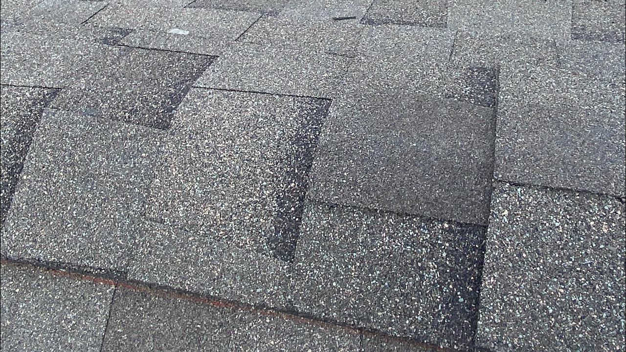 How to do dogs house of shingles berry easy - YouTube