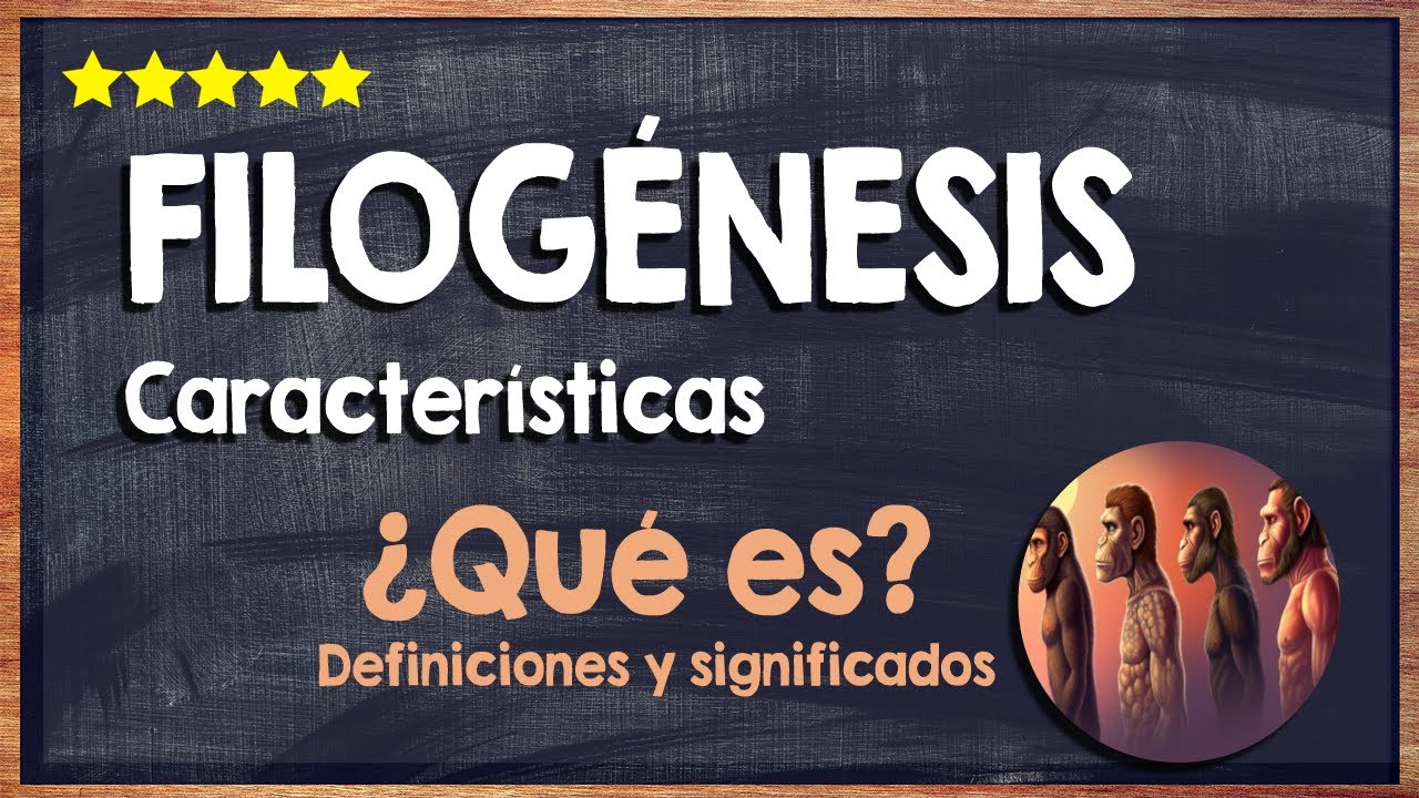 🙏 ¿Qué es la Filogénesis? - Significado y Características de la ...