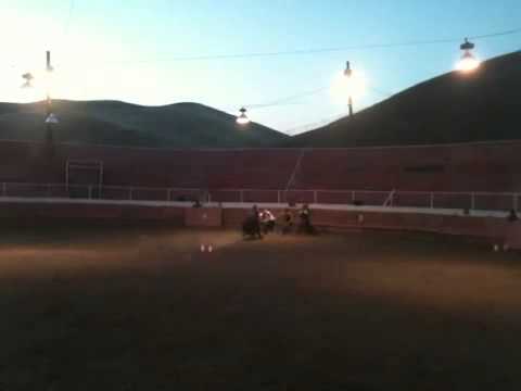 Forcados Aposento de Turlock - YouTube