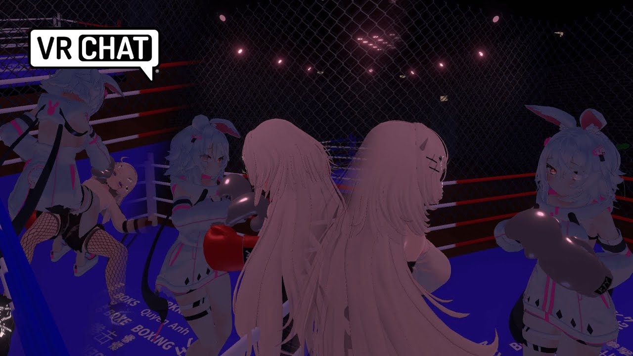Rabbit fights for her pride and honor🐇 VRchat BOXING - YouTube