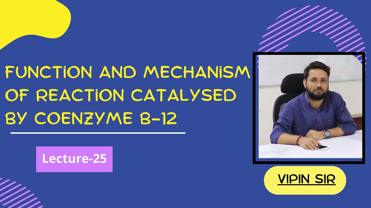 Vitamin B 12 Coenzyme B 12part 2 Bioinorganic chemistry lecture25 - YouTube