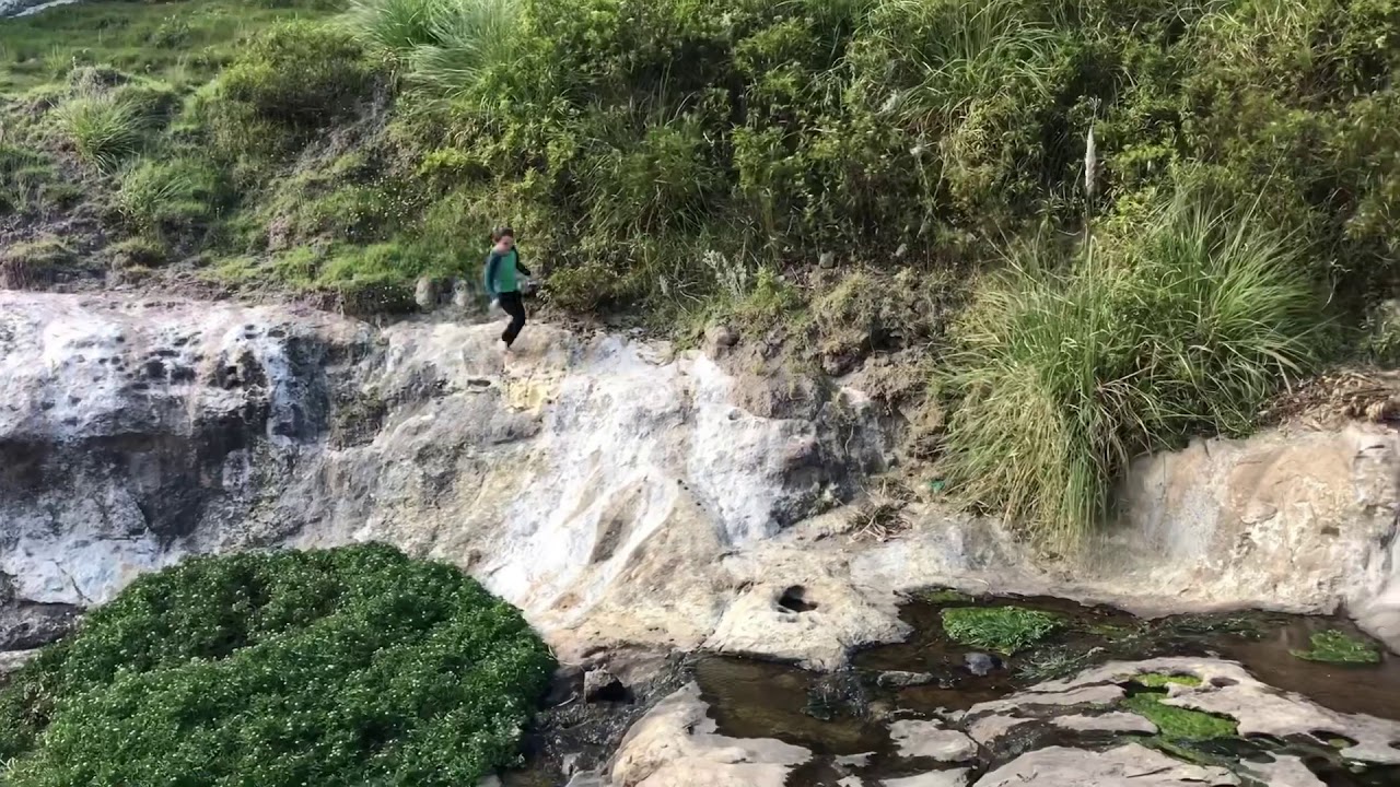 Dinosaur tracks in the Andes Mountains! - YouTube