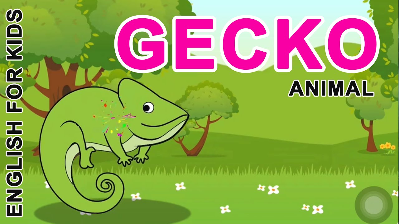 GECKO - CON TẮC KÈ - ENGLISH FOR KIDS - YouTube