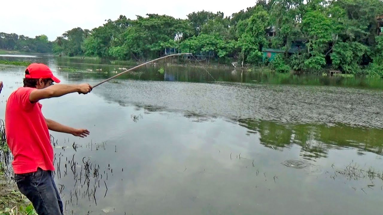 Incredible Fishing | Local People are Fishing Using Hook | Big Fishes ...