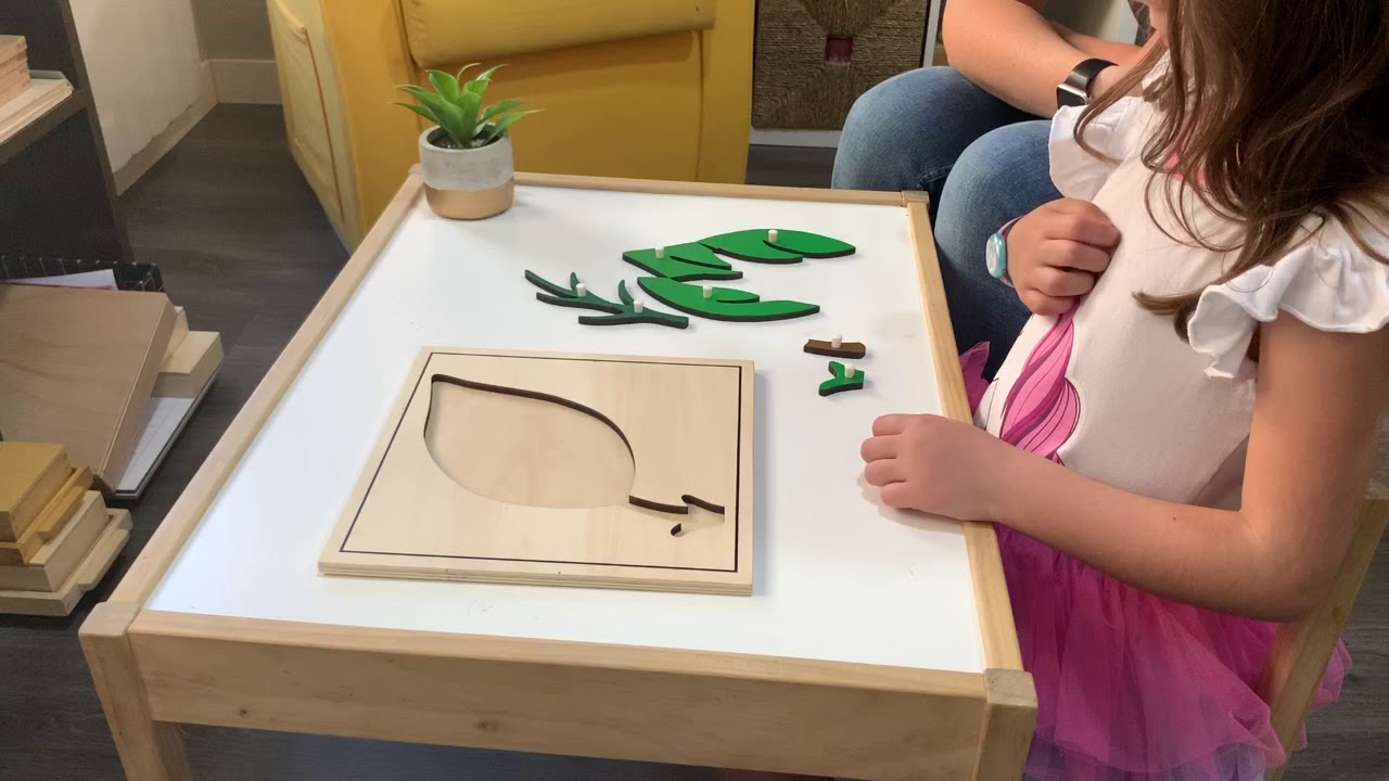 Partes de la hoja Montessori - YouTube