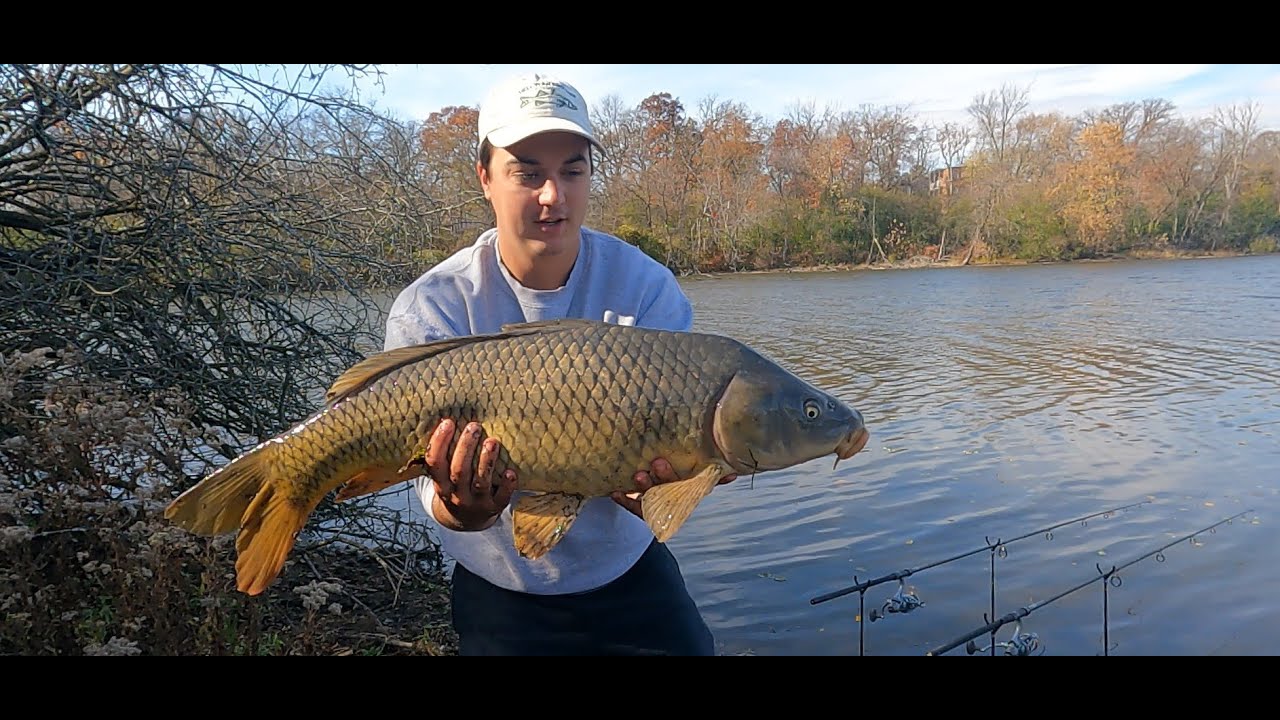 Fox River Carp Fishing - YouTube