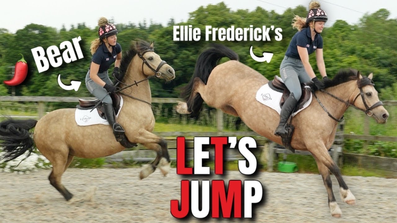 BEAR'S FIRST JUMP IN 3 YEARS!! - YouTube