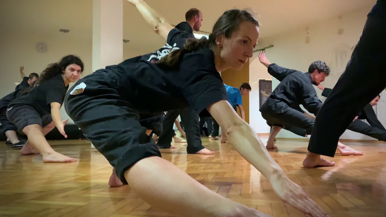 Shaolin training / beginners / 2019 - YouTube