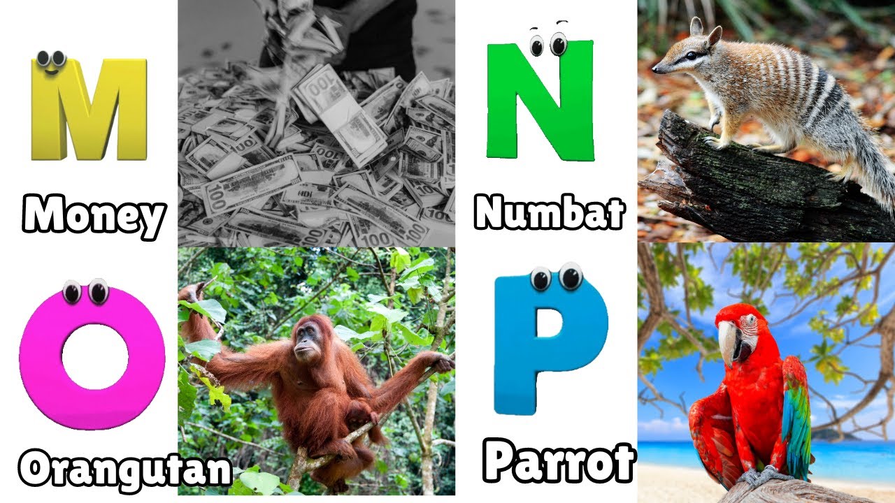 ABC Alphabet Songs For Kids | A For Avocado | ABC Song | ABC Phonics ...