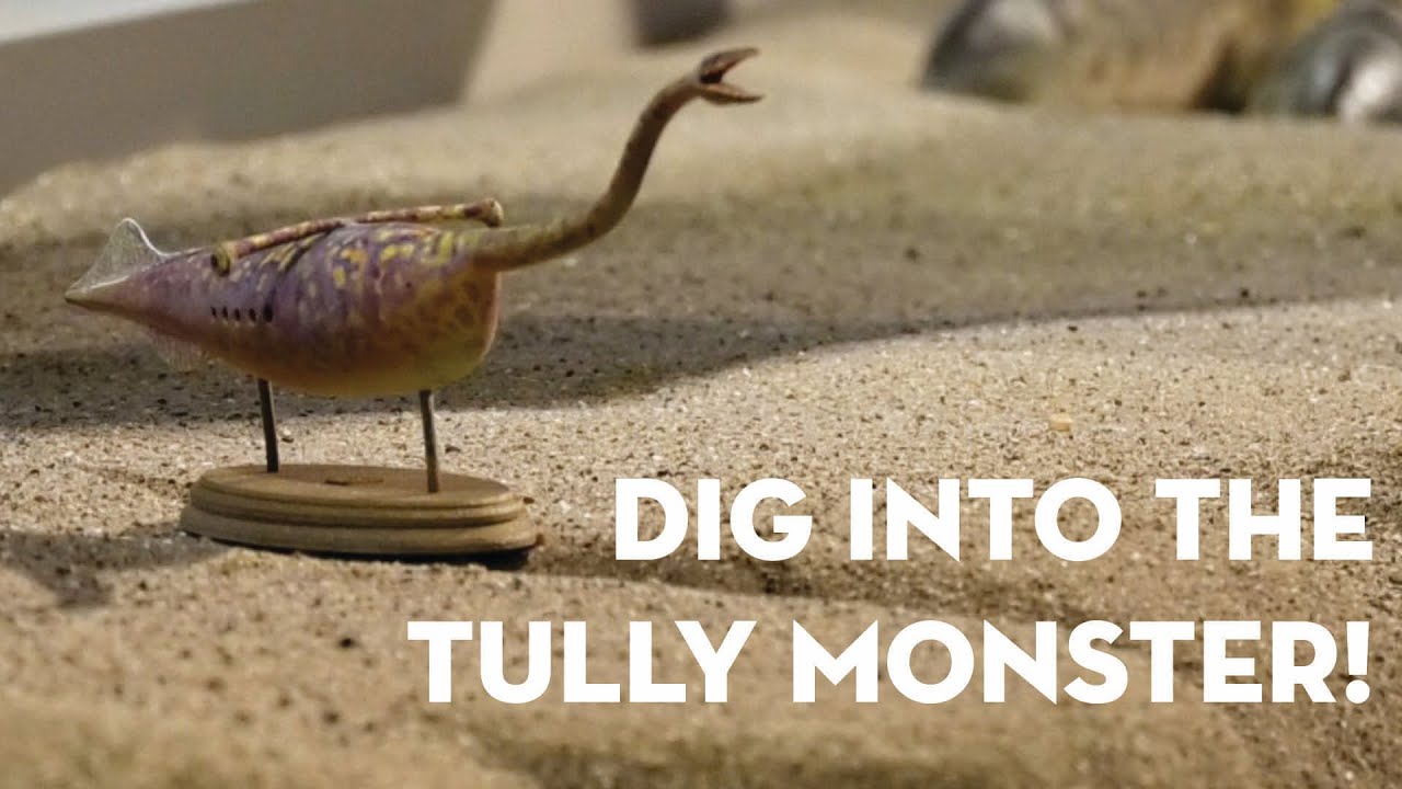Dig into the Tully Monster with Dr. Richard Kissel - YouTube