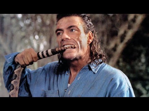 ESTRENO (2026) MEJOR PELICULAS DE ACCION Pelicula, Completa en Espanol Latino HD