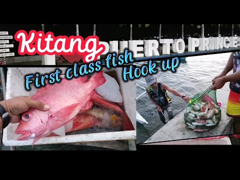 fish harvest gamit ang kitang//red snapper//maya2 hook up - YouTube