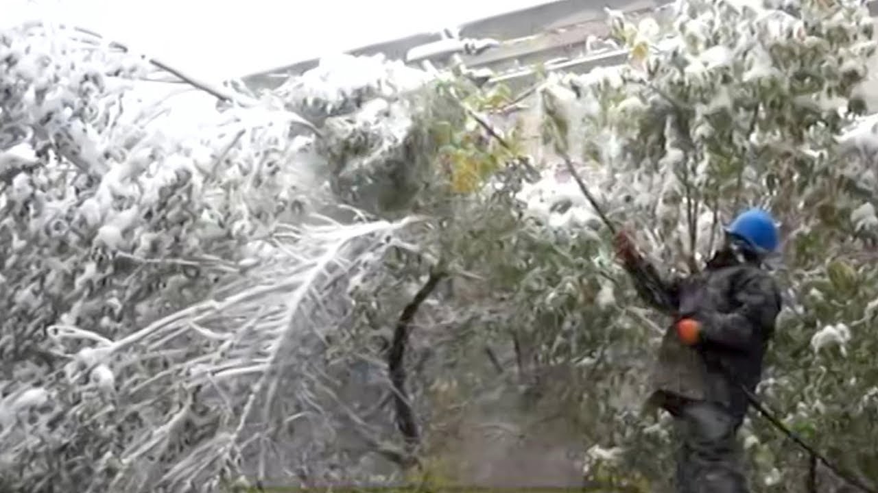 Heavy snow, strong winds likely to ease on Friday in China's Xinjiang ...