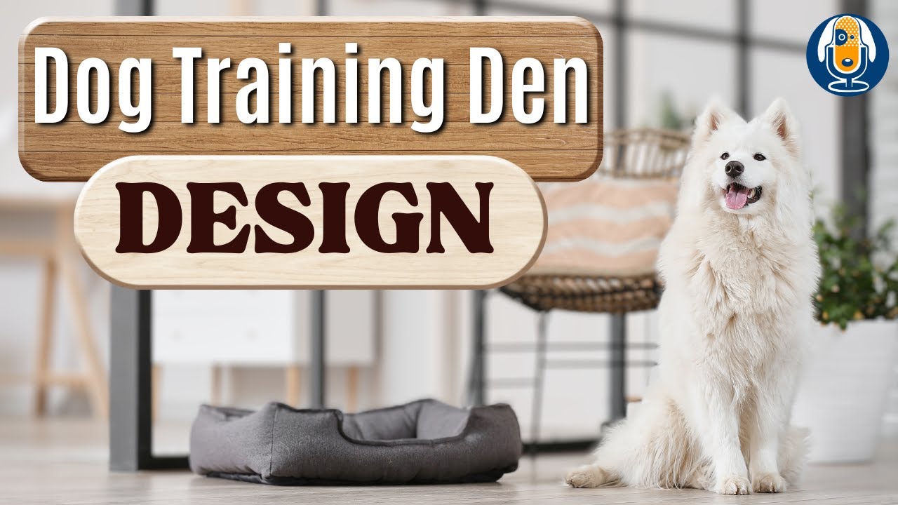 How To Use A Training Den To Fast Track Your Dog's Success: No Space ...