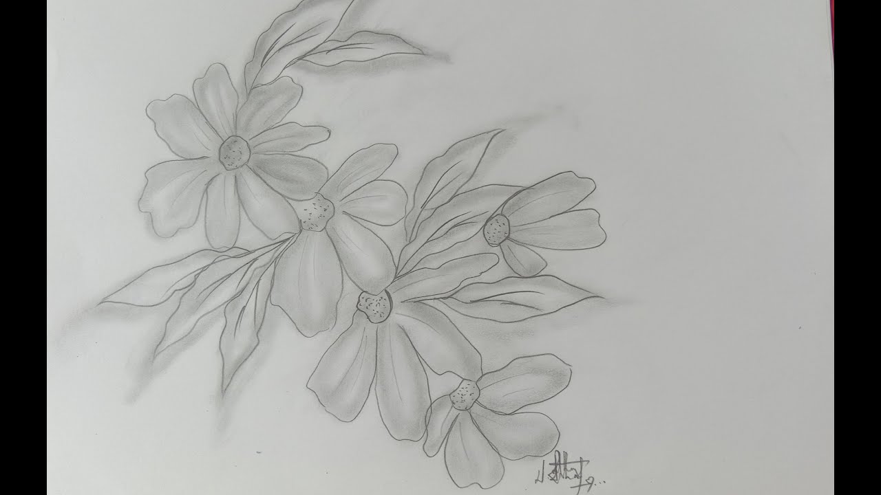 Easy Method to Draw Flower without using Shading Pencil - YouTube
